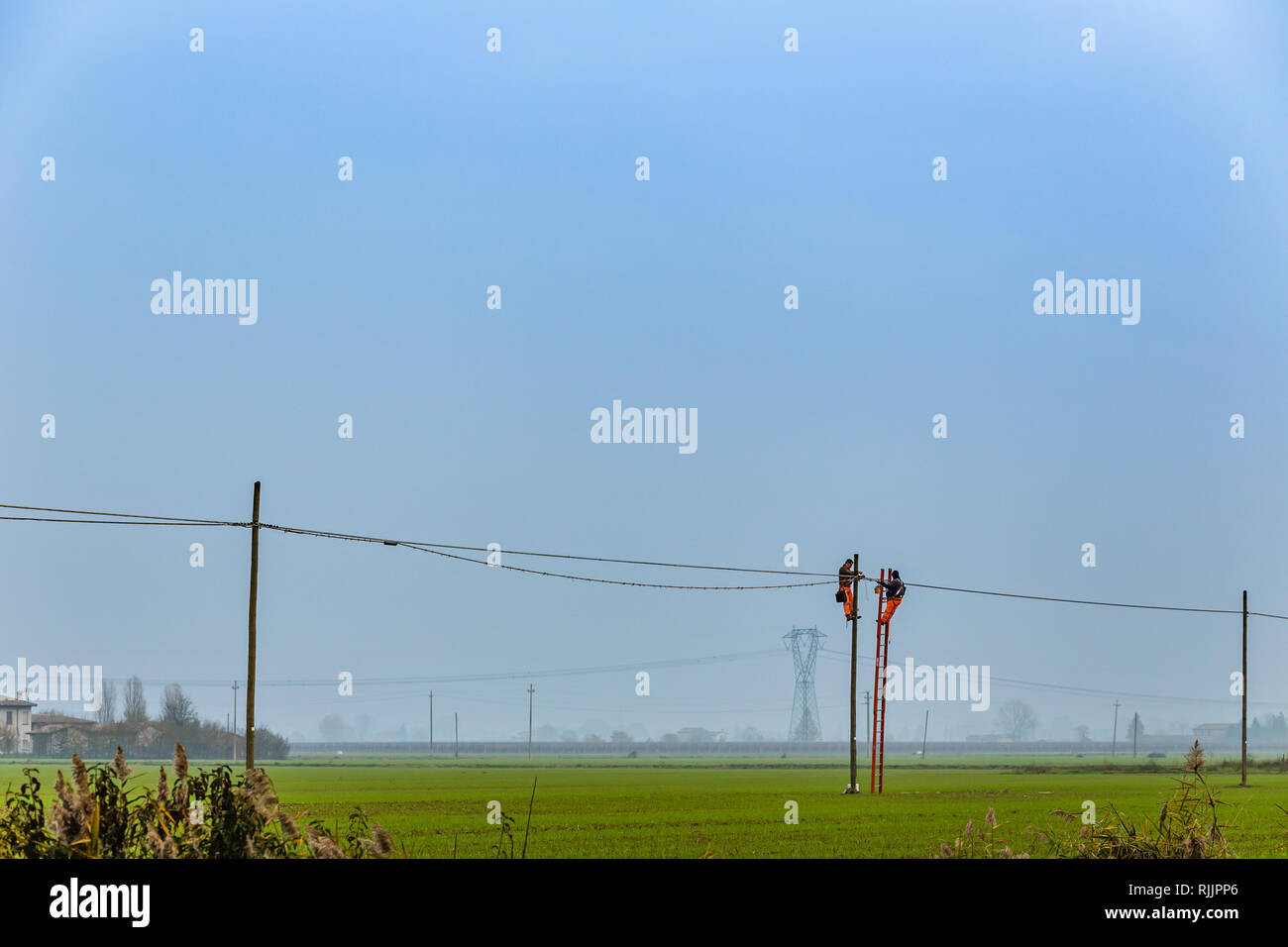 dizzy task for workers fixing telephone cables while on pole and ladder ...