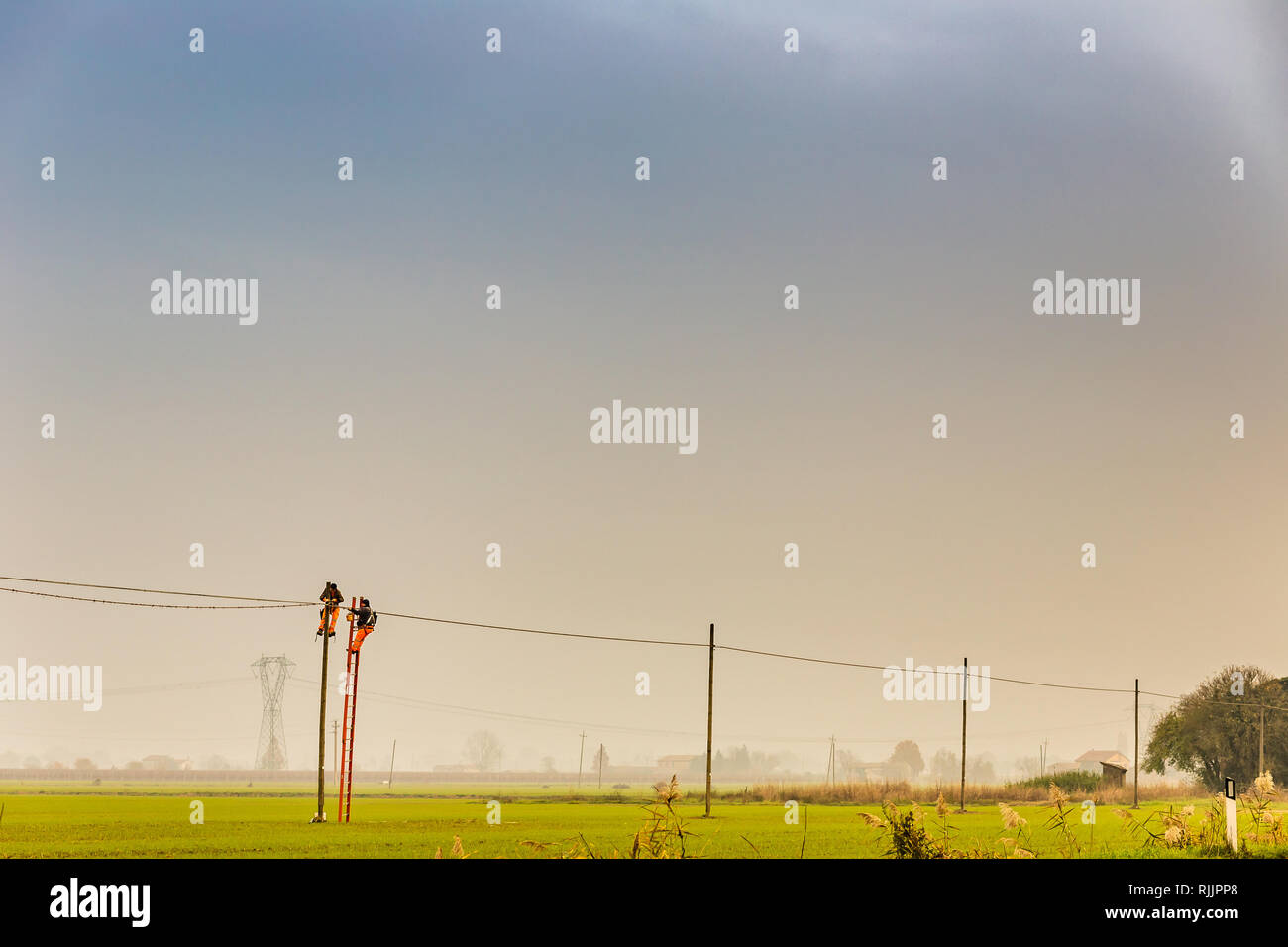 dizzy task for workers fixing telephone cables while on pole and ladder ...