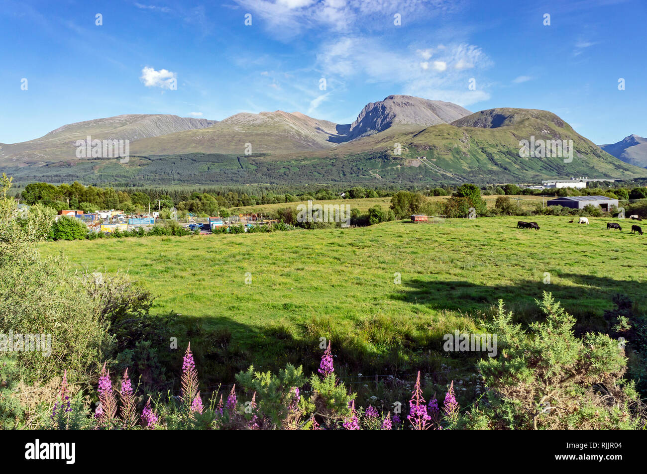 View of Scotland's highest mountain Ben Nevis seen from B8004 north of ...