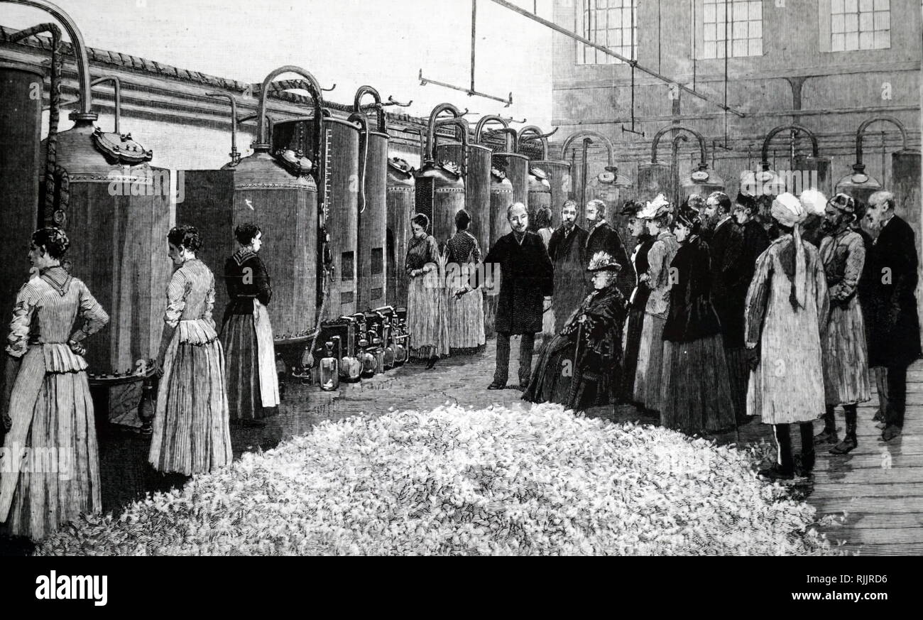 An engraving depicting Queen Victoria being shown the distillation ...