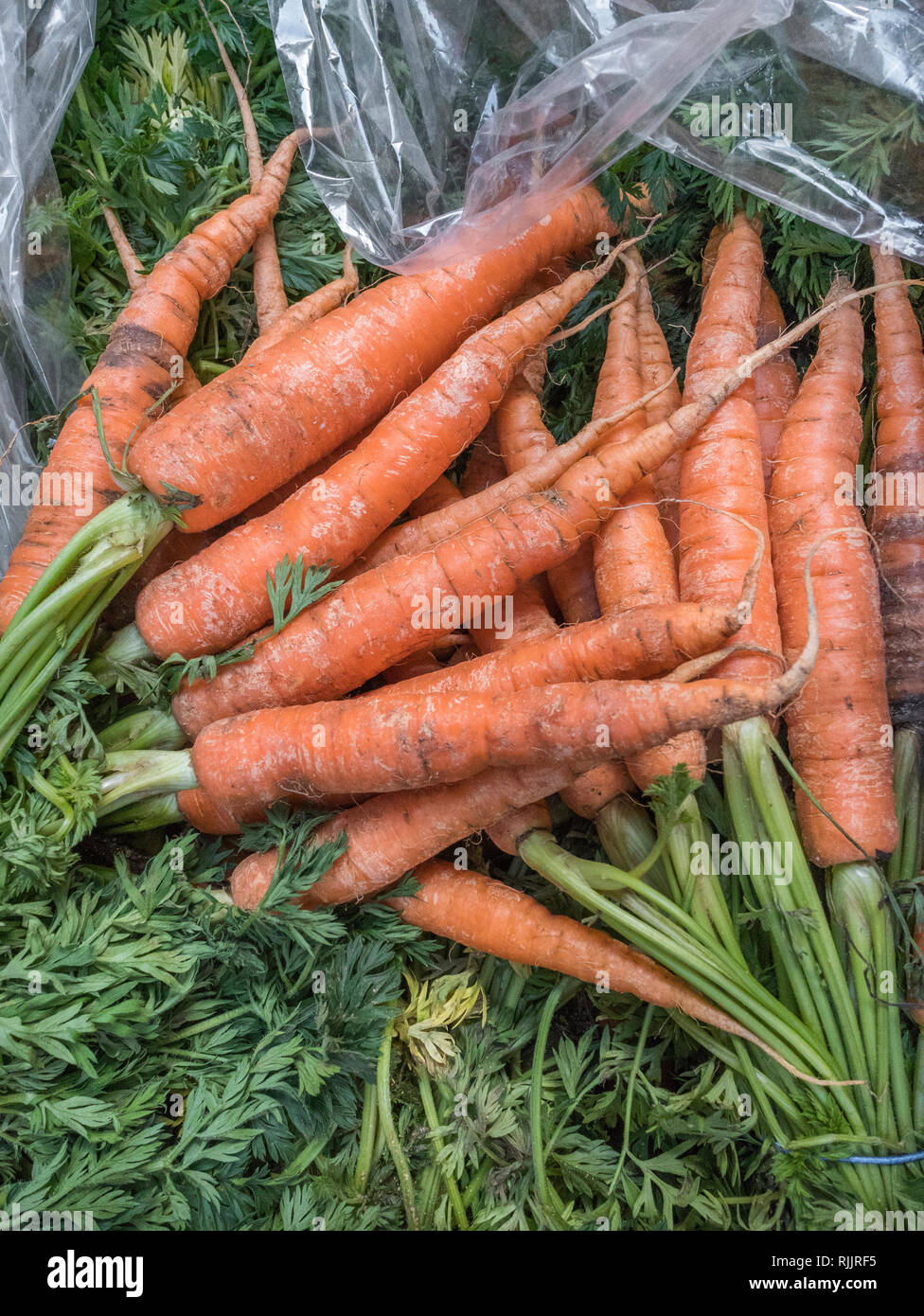 Knobbly vegetables hi-res stock photography and images - Alamy