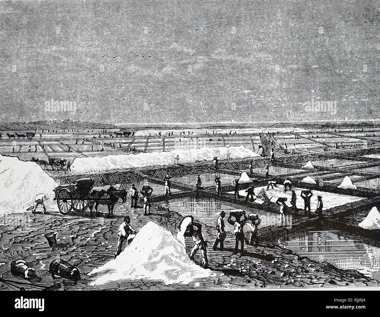An engraving depicting the digging of salt from salt pans. Dated 19th ...