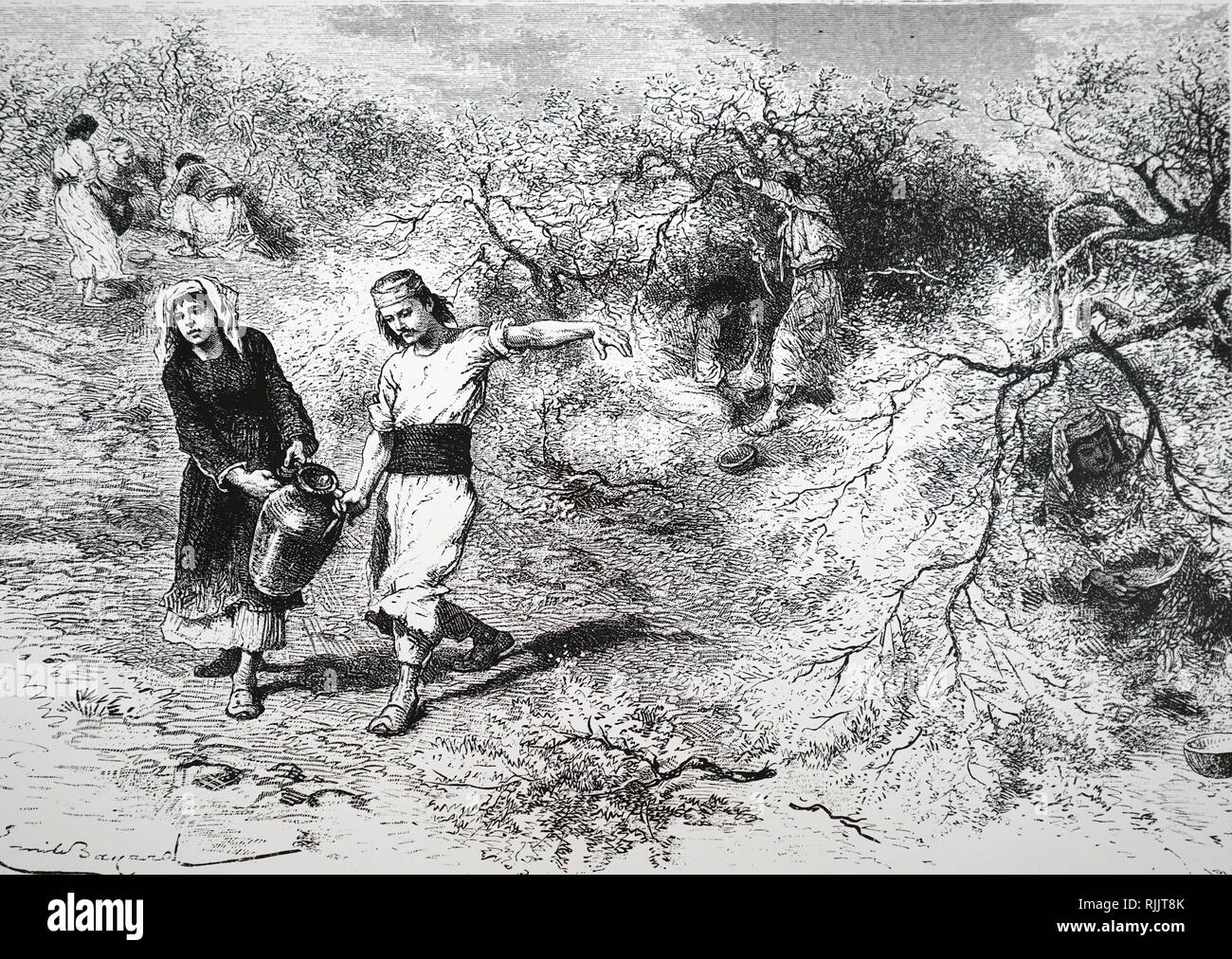 Turpentine making hi-res stock photography and images - Alamy