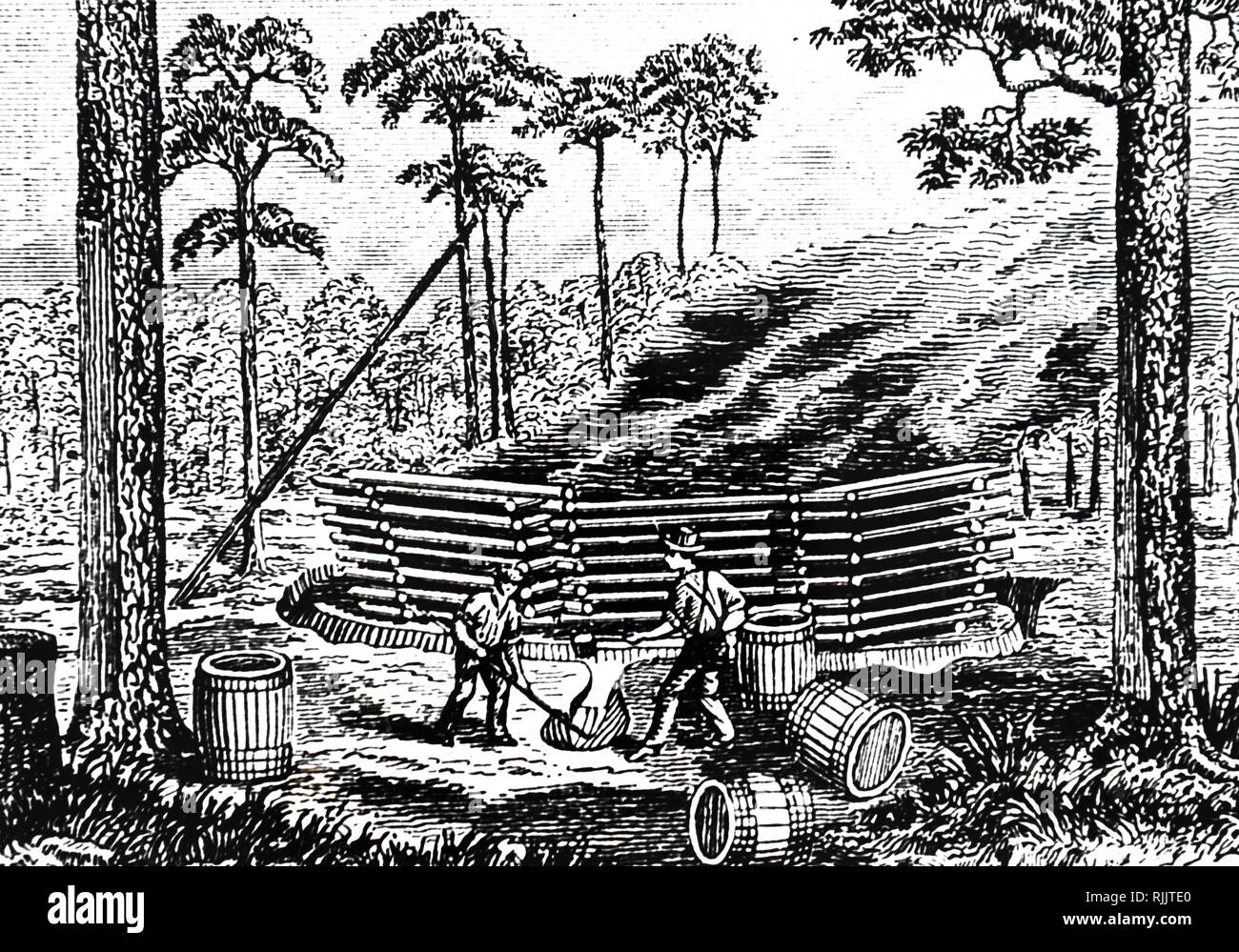 Turpentine axe hi-res stock photography and images - Alamy