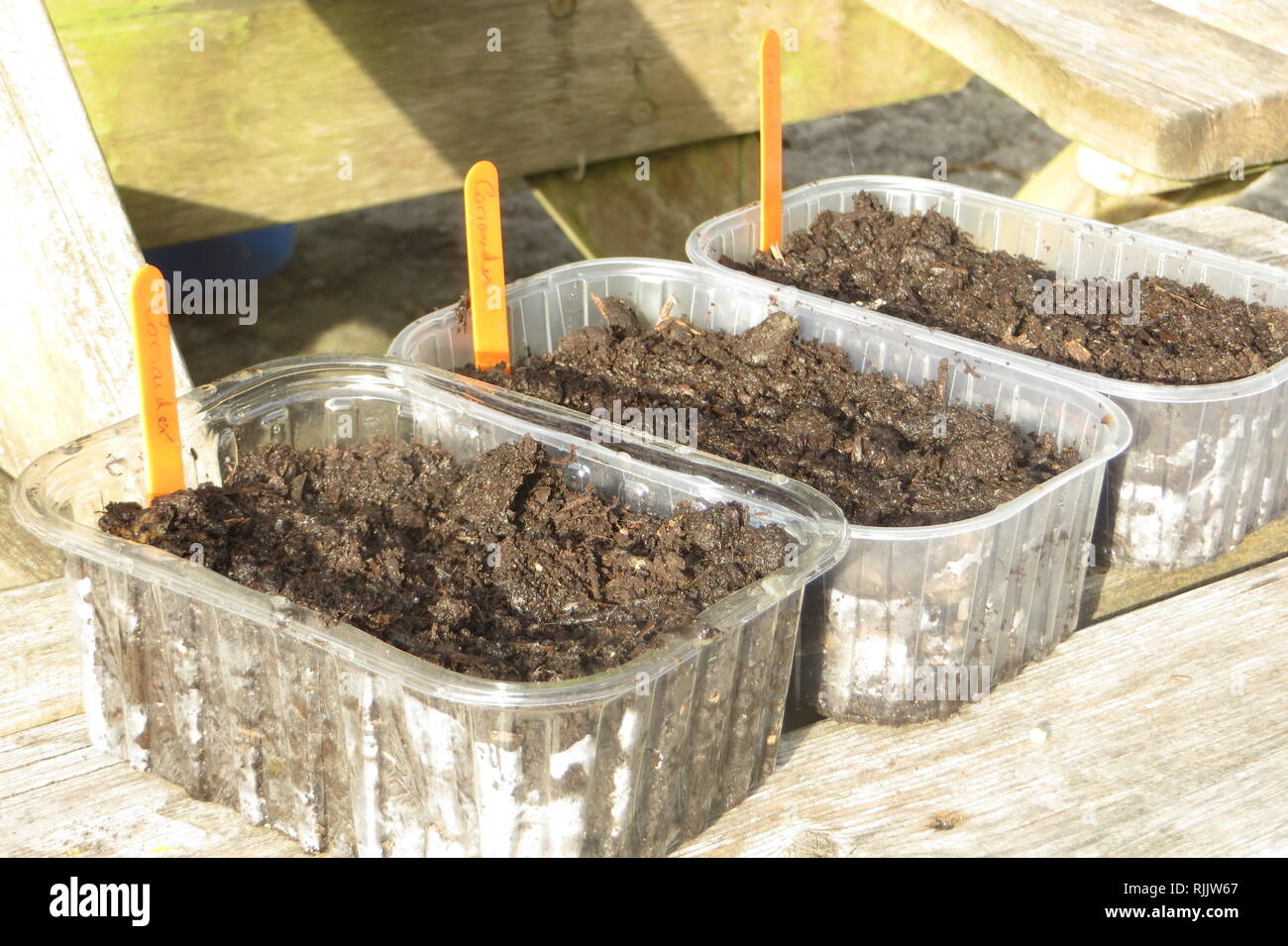 Garden seed tray hi-res stock photography and images - Alamy
