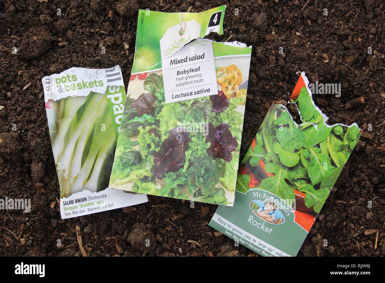 Mixed seed packets hi-res stock photography and images - Alamy