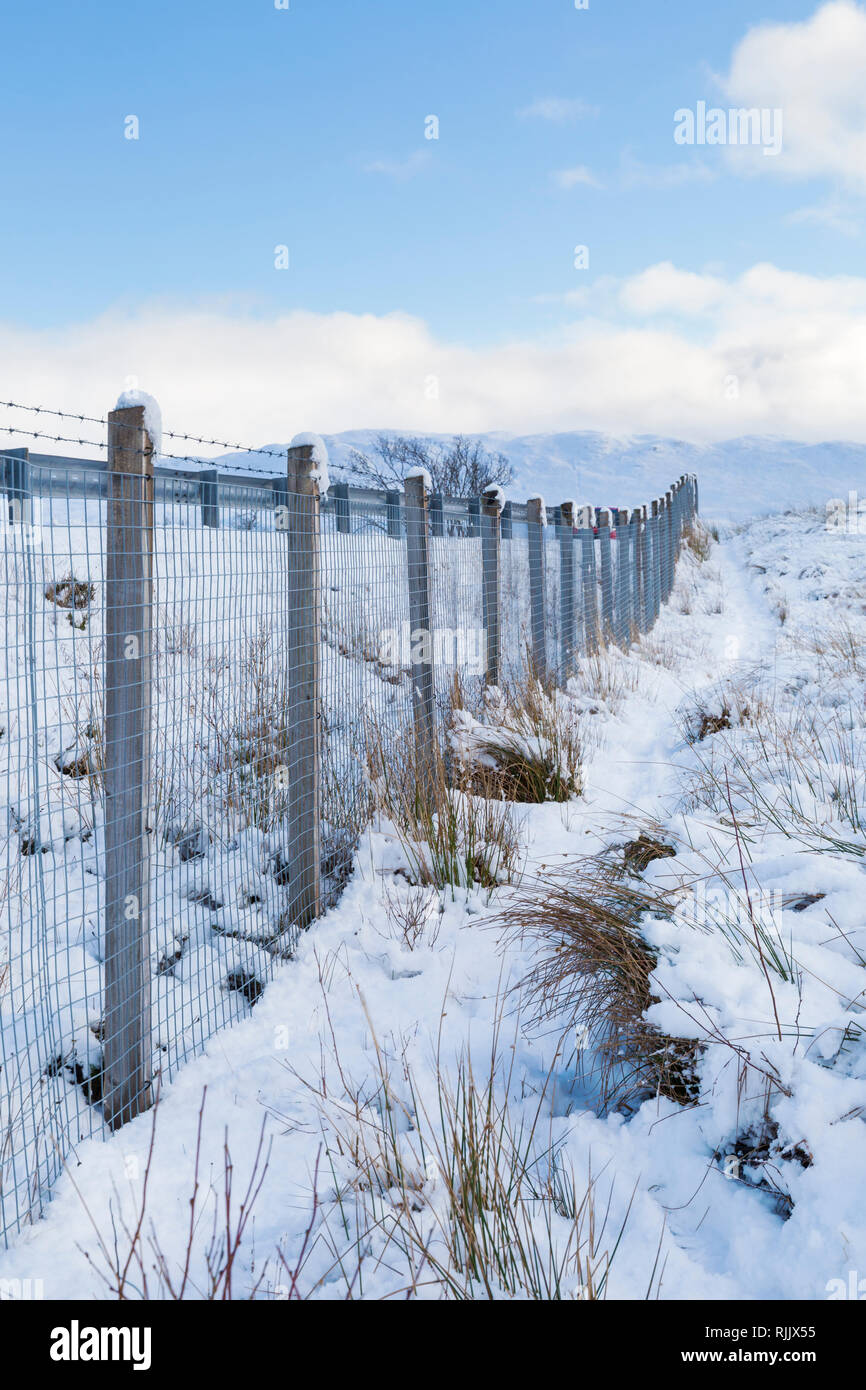 Fence running alongside the A82 road and Loch Ba on cold winter ...