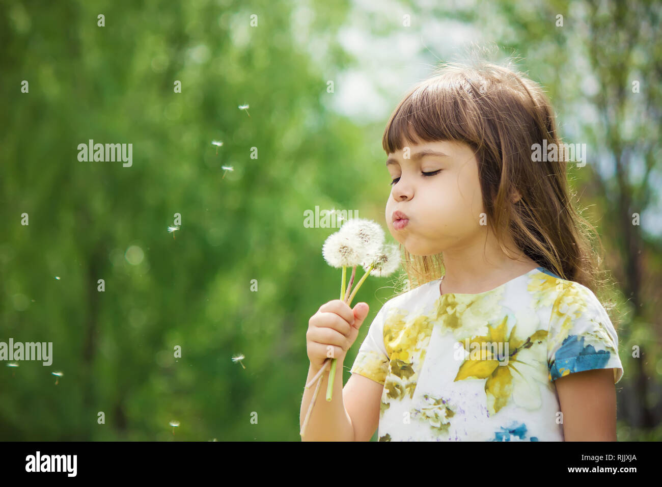 girl blowing dandelions in the air. selective focus Stock Photo - Alamy