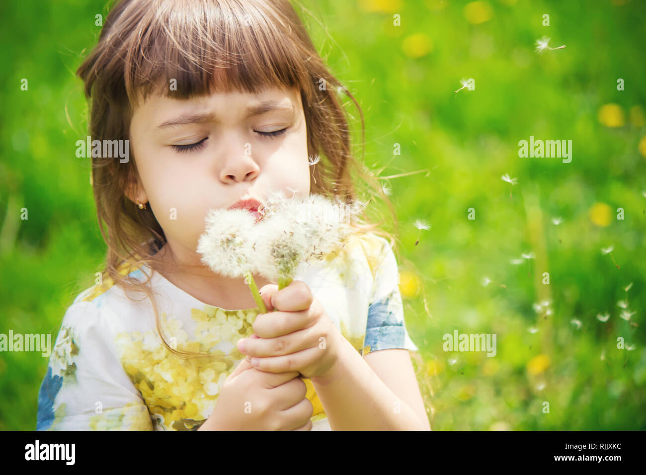 girl blowing dandelions in the air. selective focus Stock Photo - Alamy