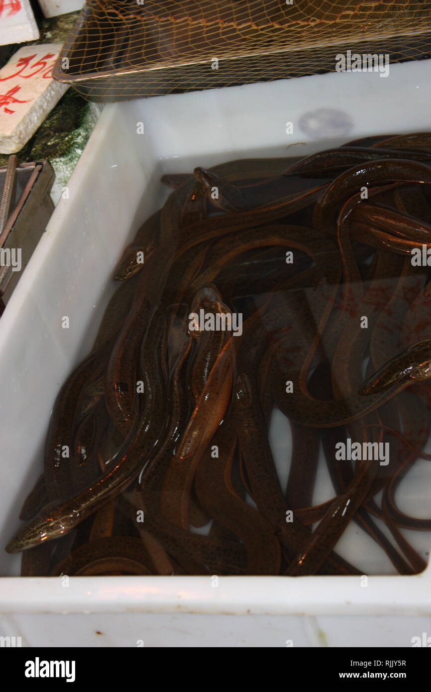 Alive snakes on street market Stock Photo - Alamy