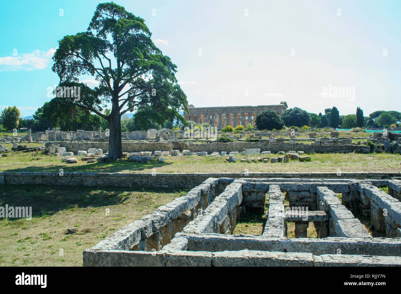The gymnasion and swimming pool in the archaelogical site of Paestum ...