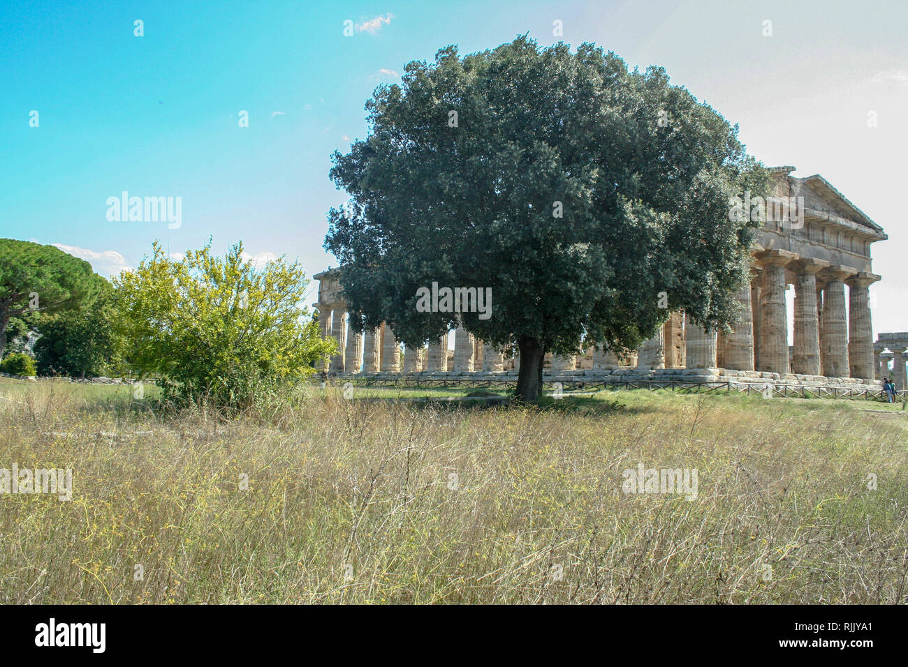 The temple of Neptune or Hera II, in the archaelogical site of Paestum ...