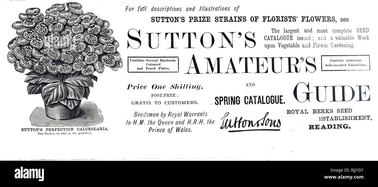 Suttons seeds hi-res stock photography and images - Alamy