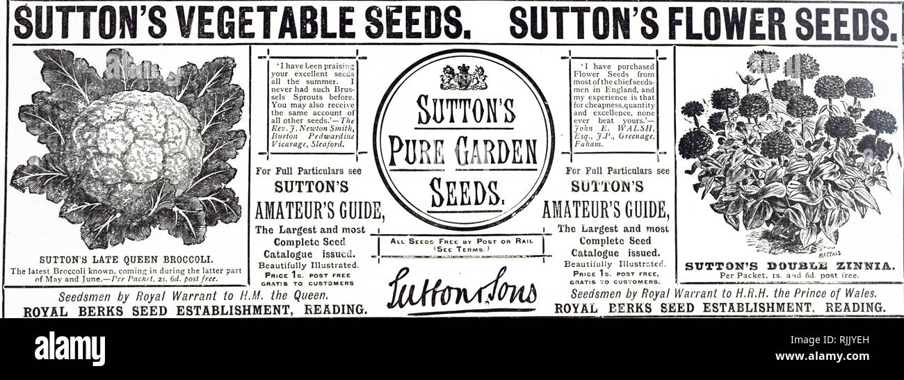 Suttons seeds hi-res stock photography and images - Alamy