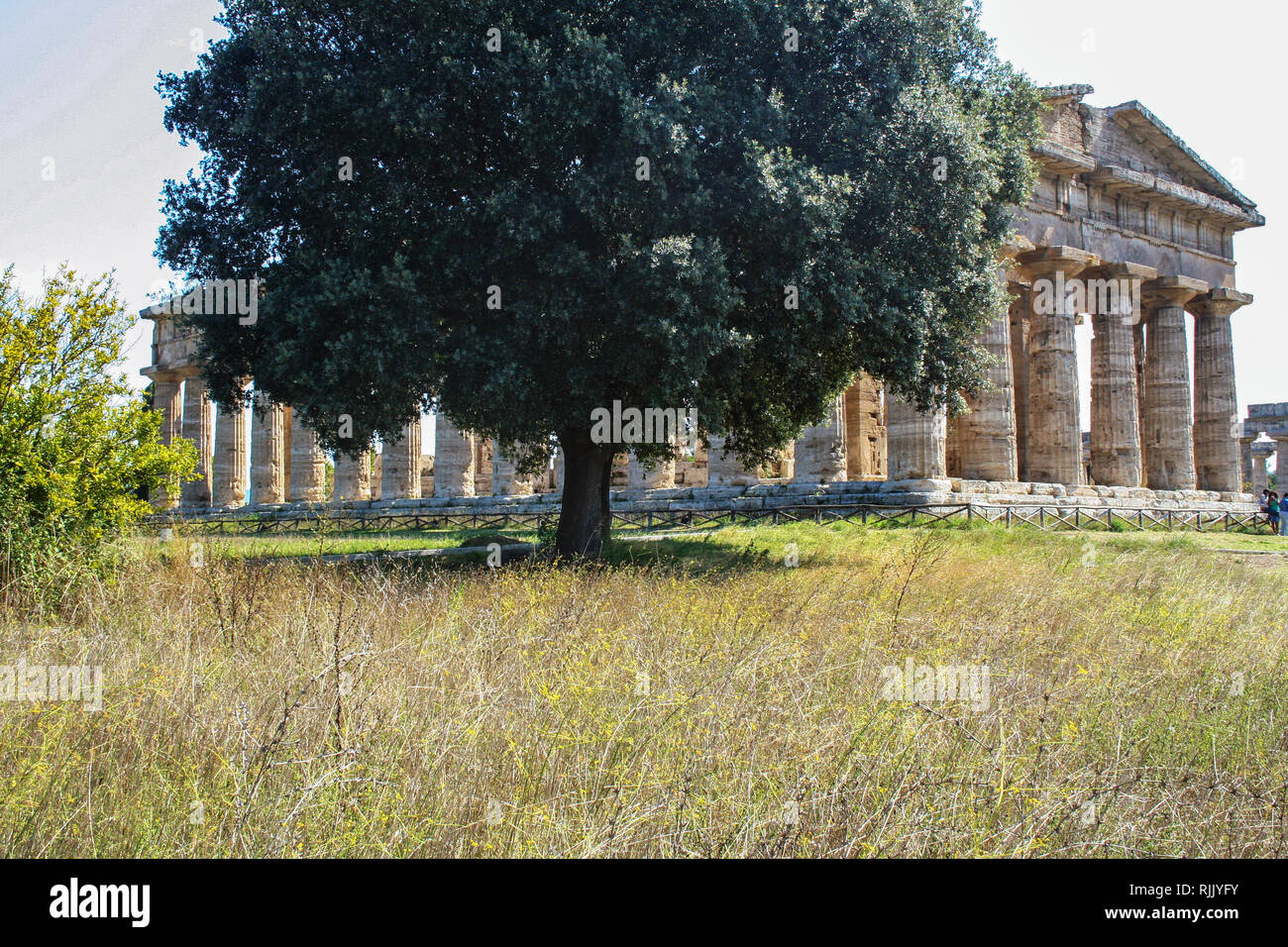 The temple of Neptune or Hera II, in the archaelogical site of Paestum ...
