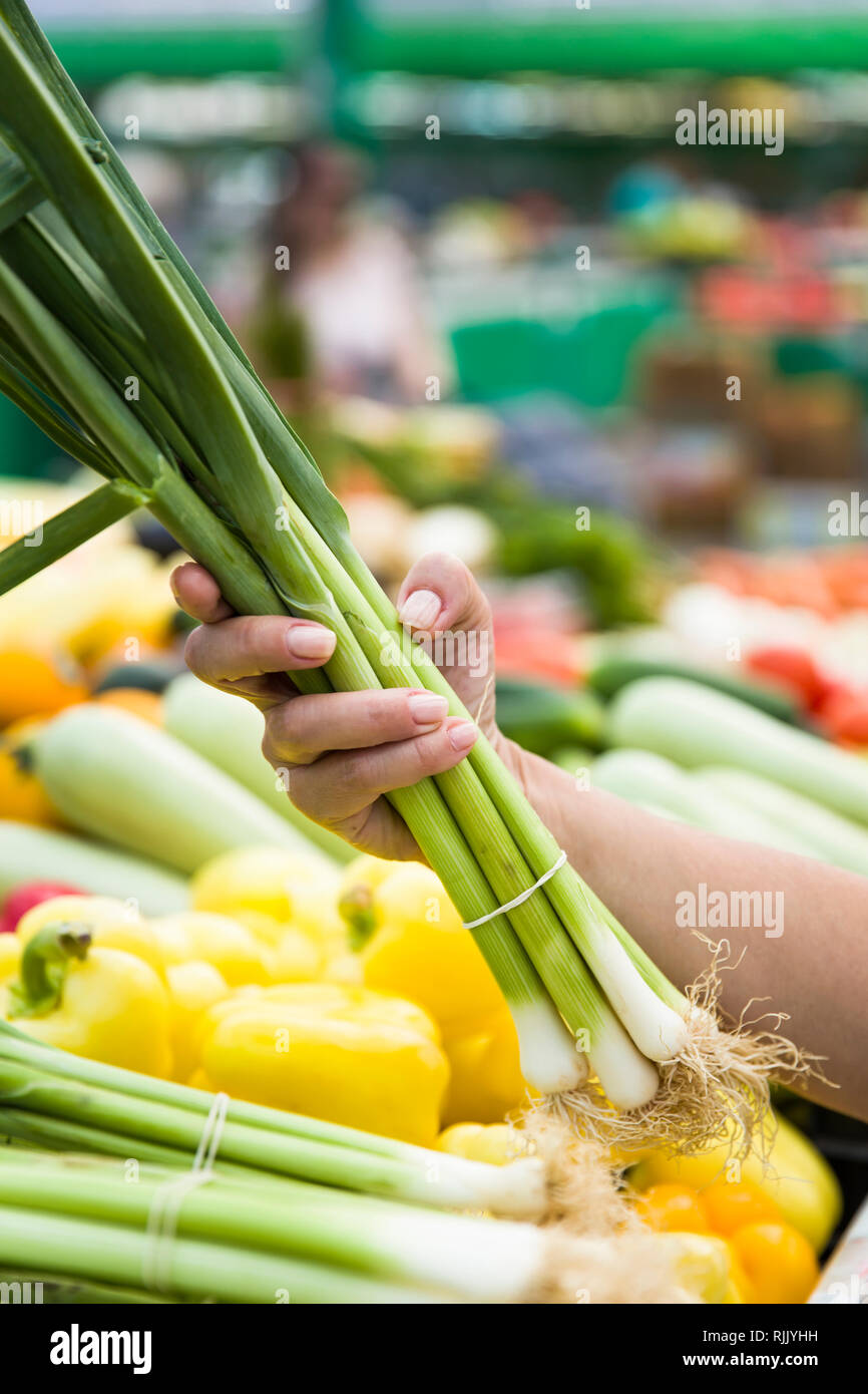 Bunches spring onions hi-res stock photography and images - Alamy