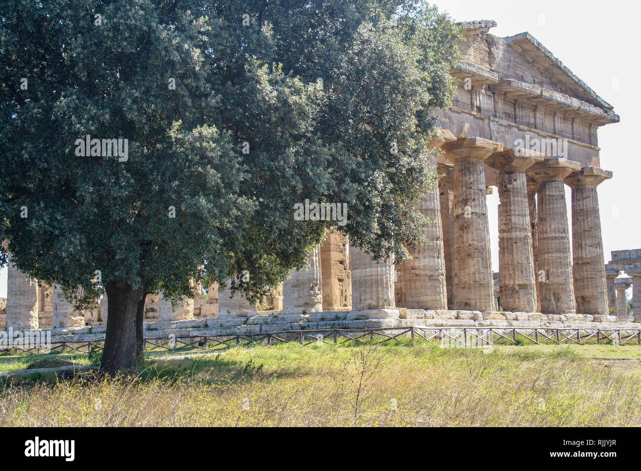 The temple of Neptune or Hera II, in the archaelogical site of Paestum ...