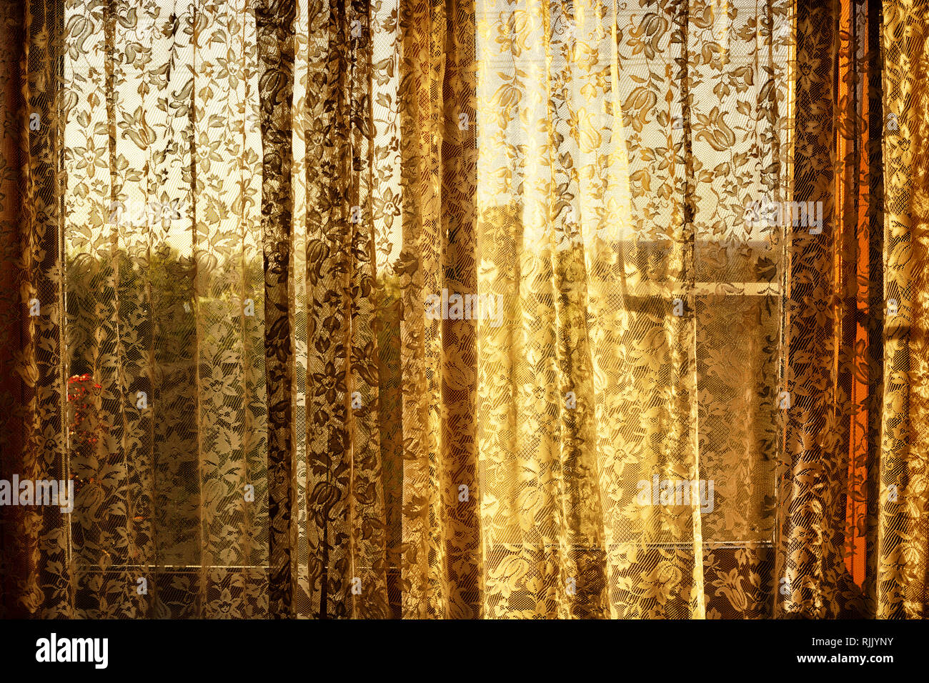 Sunlit lace curtains background Stock Photo - Alamy