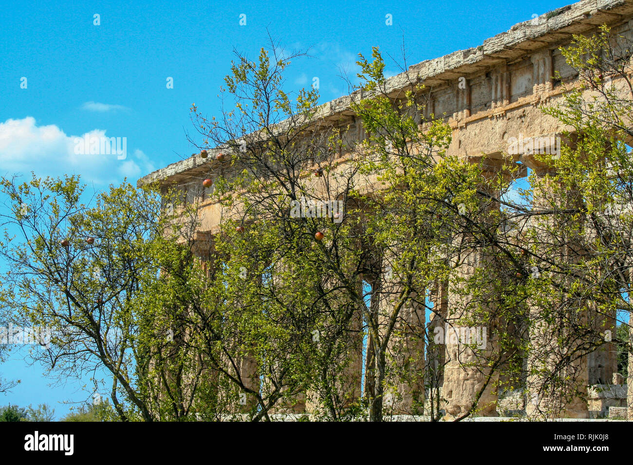The temple of Neptune or Hera II, in the archaelogical site of Paestum ...
