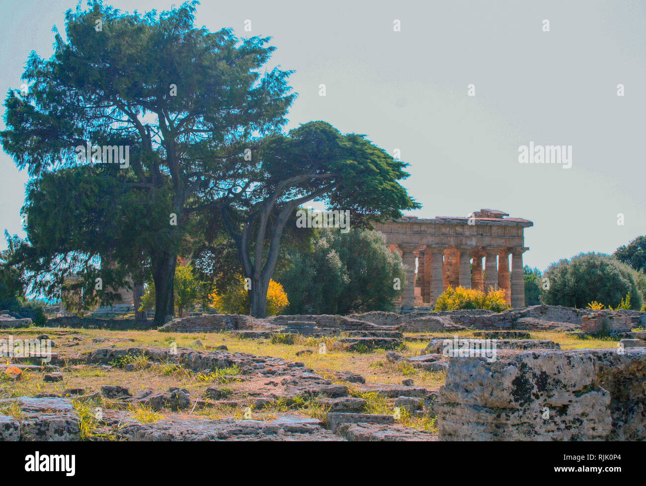 The temple of Neptune or Hera II, in the archaelogical site of Paestum ...