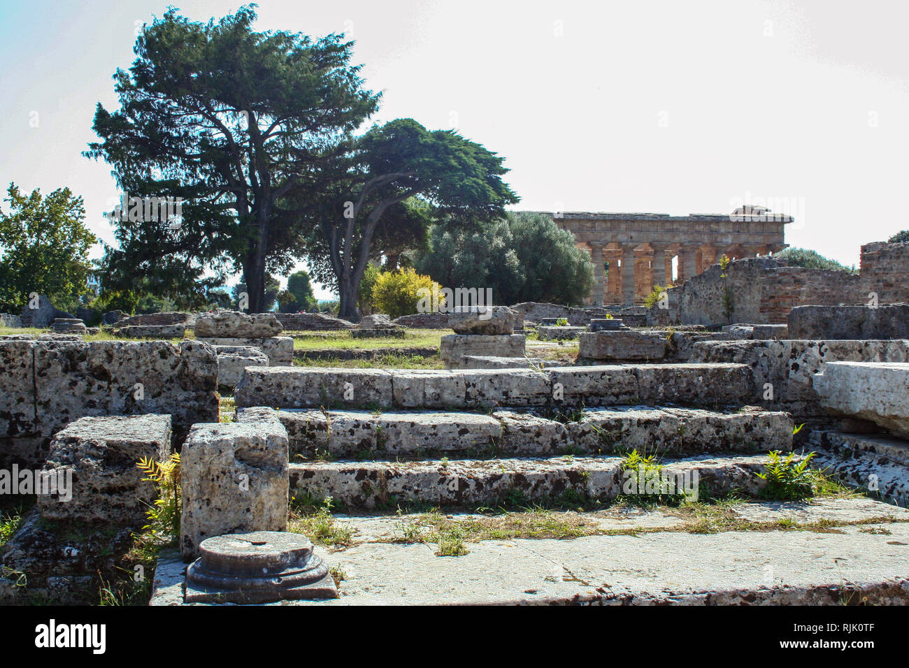 The temple of Neptune or Hera II, in the archaelogical site of Paestum ...