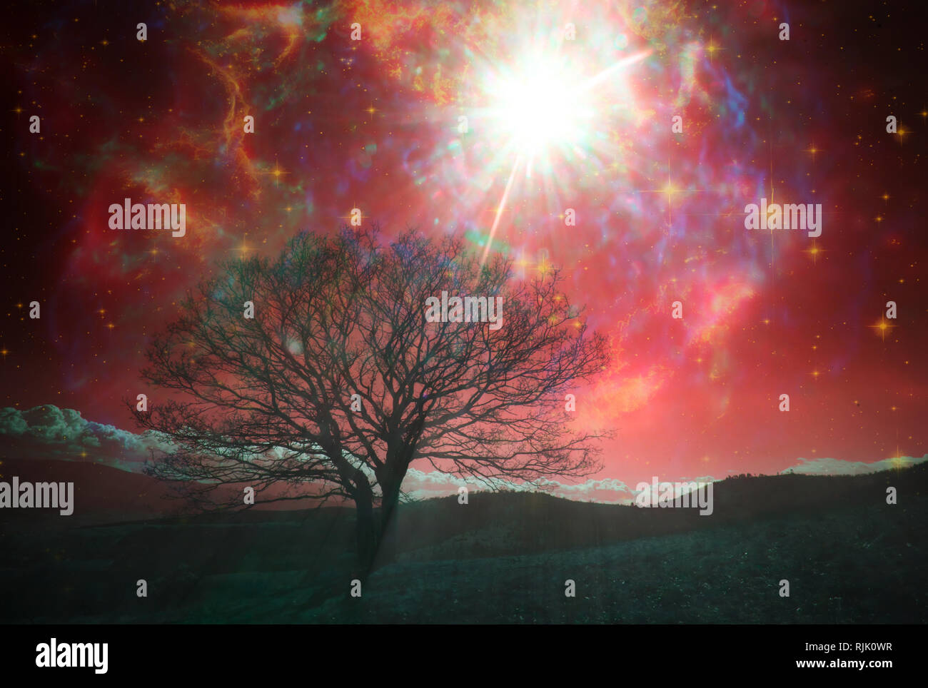 red alien landscape with alone tree over the night sky with many stars ...