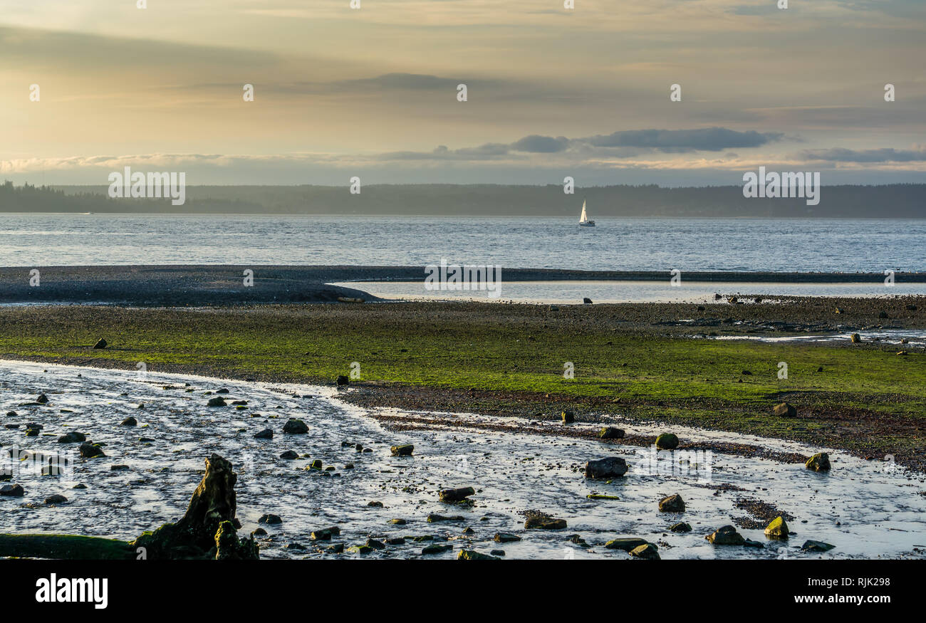 A veiw of the shoreline and PUget Sound Stock Photo - Alamy