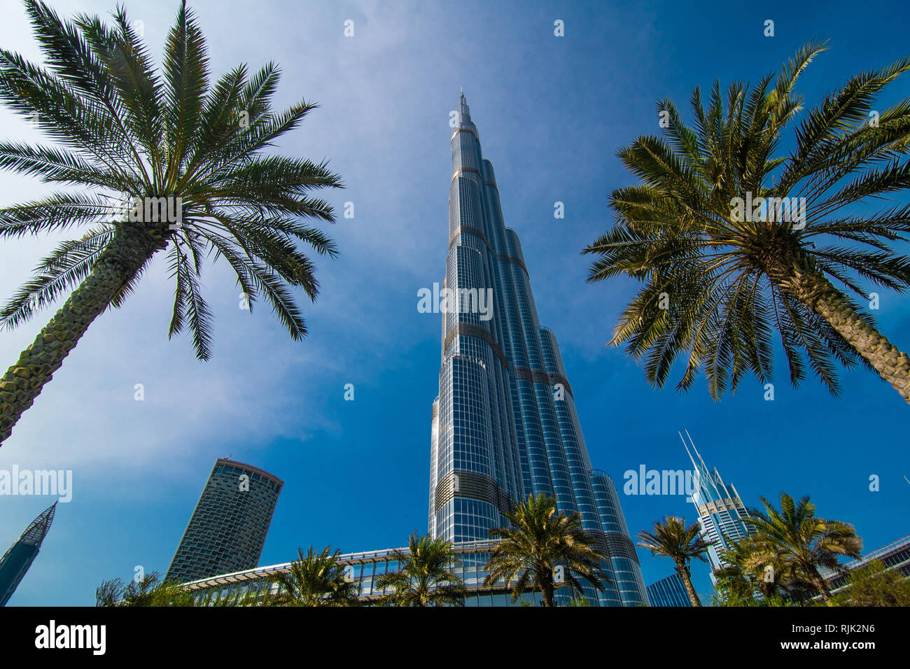 View of Burj Khalifa building with palms trees in Dubai Stock Photo - Alamy