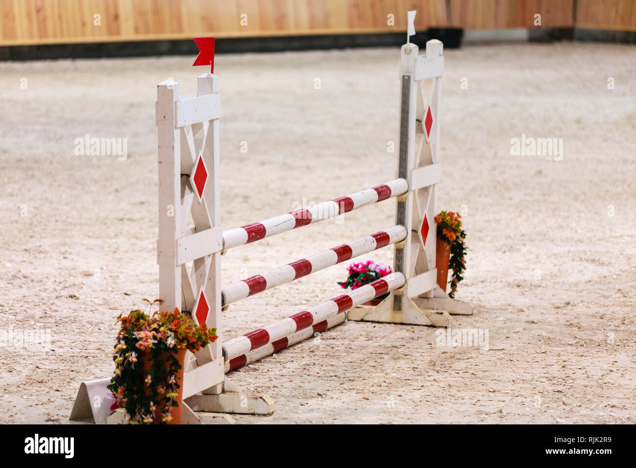 Equitation. Obstacle for jumping horses. Riding competition Stock Photo ...