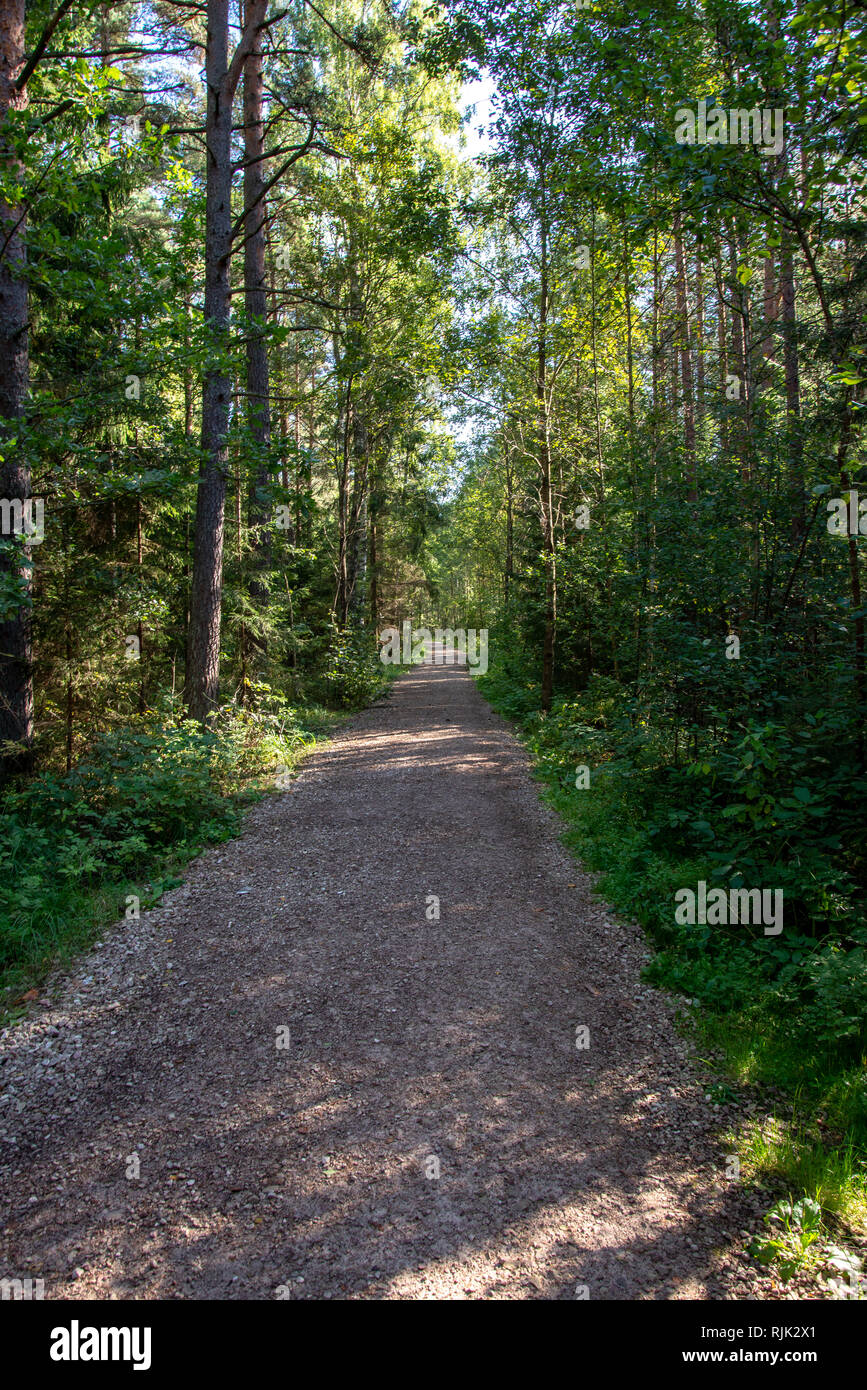 empty country gravel road with mud puddles and bumps. dirty road ...