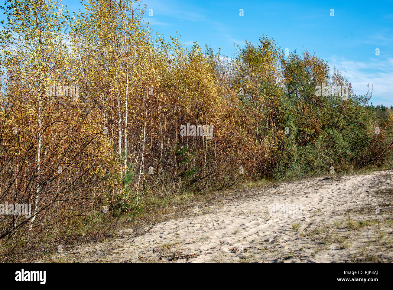 empty country gravel road with mud puddles and bumps. dirty road ...