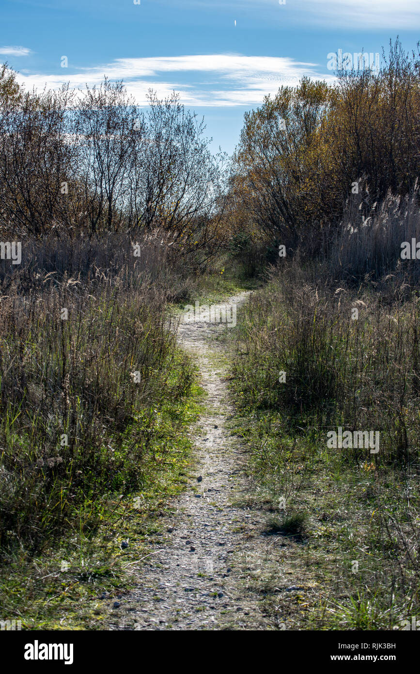 empty country gravel road with mud puddles and bumps. dirty road ...