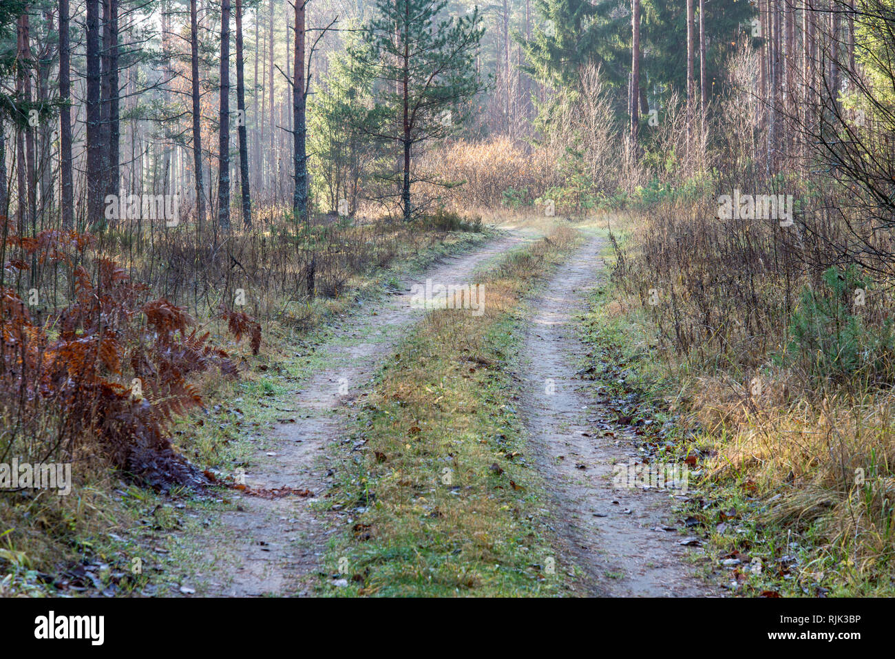 empty country gravel road with mud puddles and bumps. dirty road ...