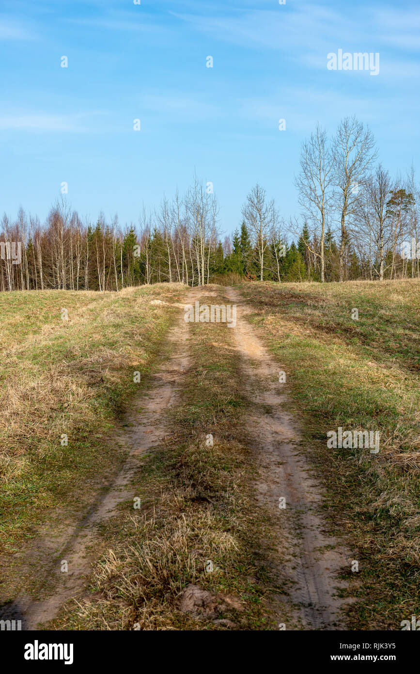 empty country gravel road with mud puddles and bumps. dirty road surface with sand and small ...