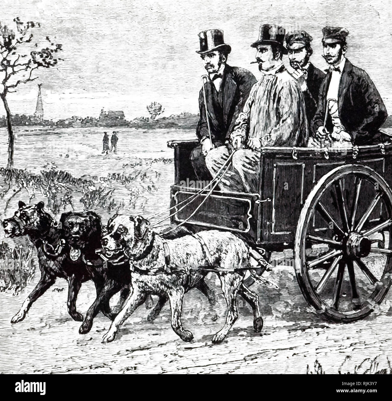 An engraving depicting men riding in a cart drawn by dogs in Holland ...