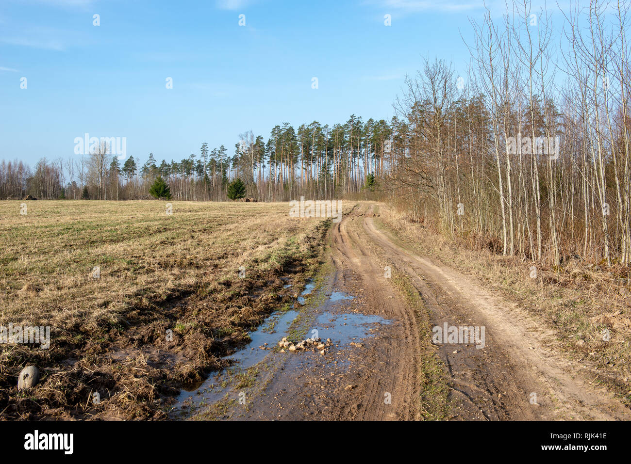 empty country gravel road with mud puddles and bumps. dirty road surface with sand and small ...