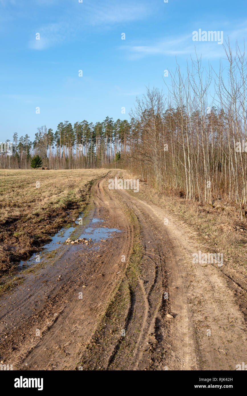 empty country gravel road with mud puddles and bumps. dirty road surface with sand and small ...