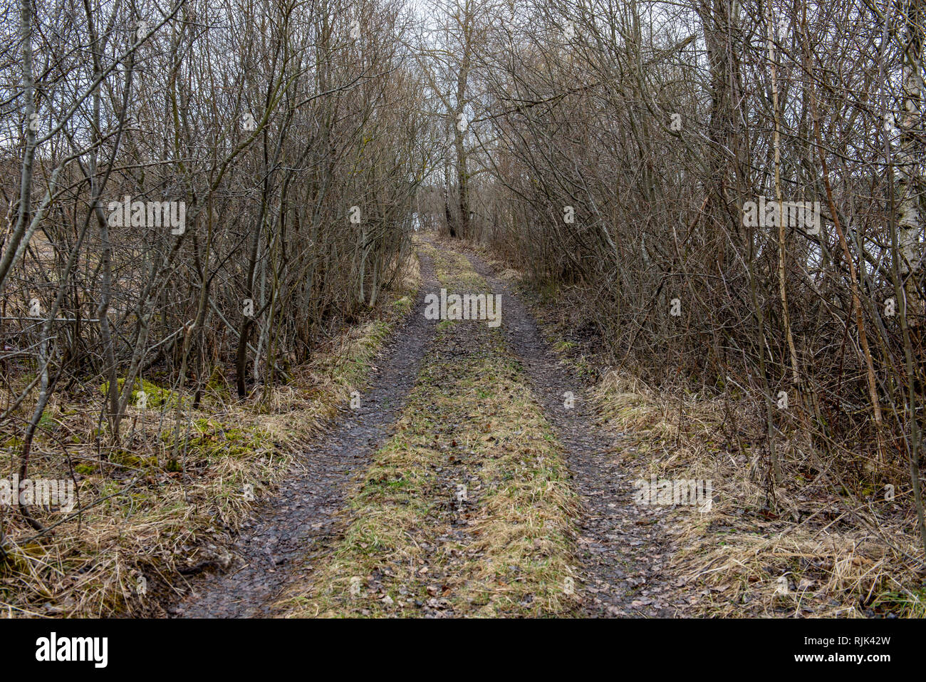 empty country gravel road with mud puddles and bumps. dirty road ...