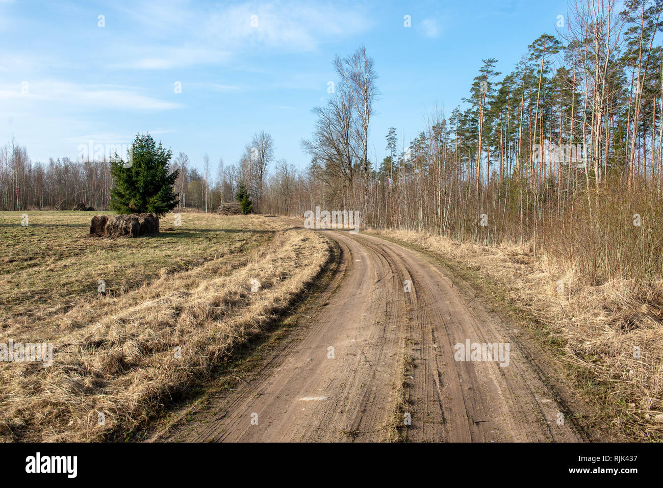 empty country gravel road with mud puddles and bumps. dirty road surface with sand and small ...