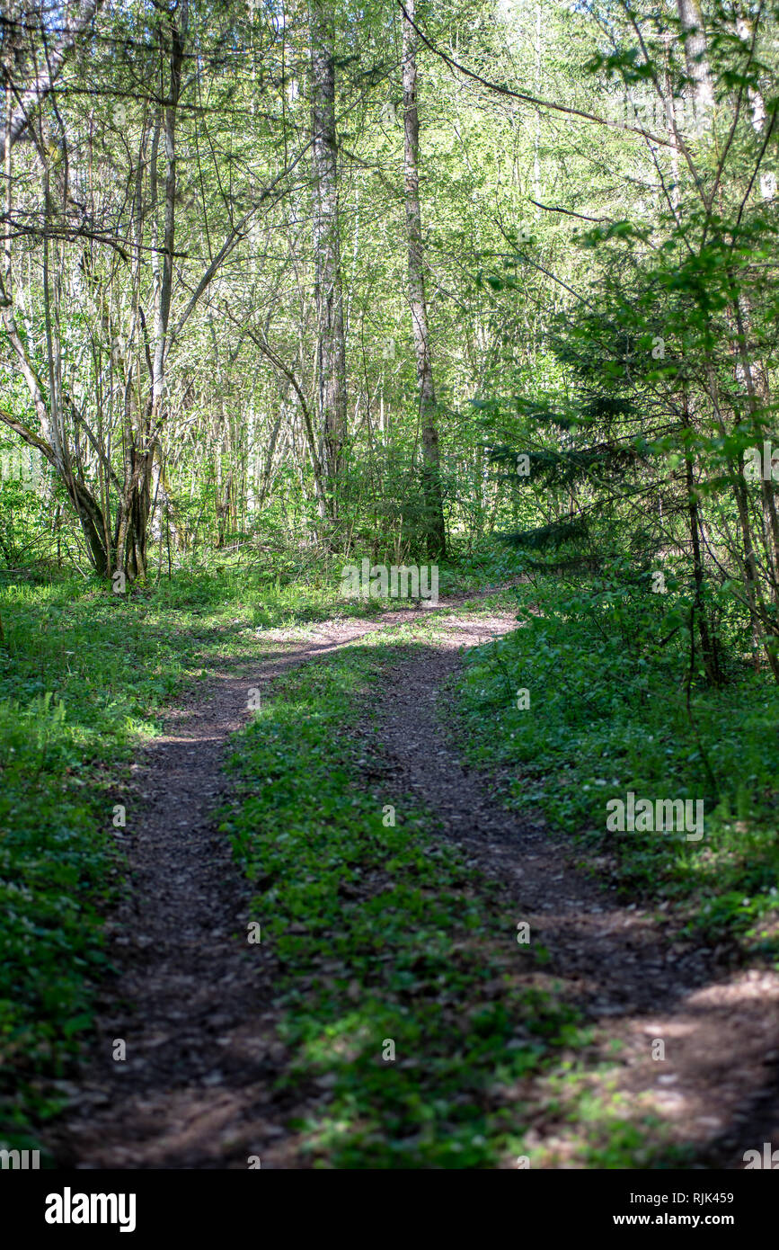 empty country gravel road with mud puddles and bumps. dirty road ...