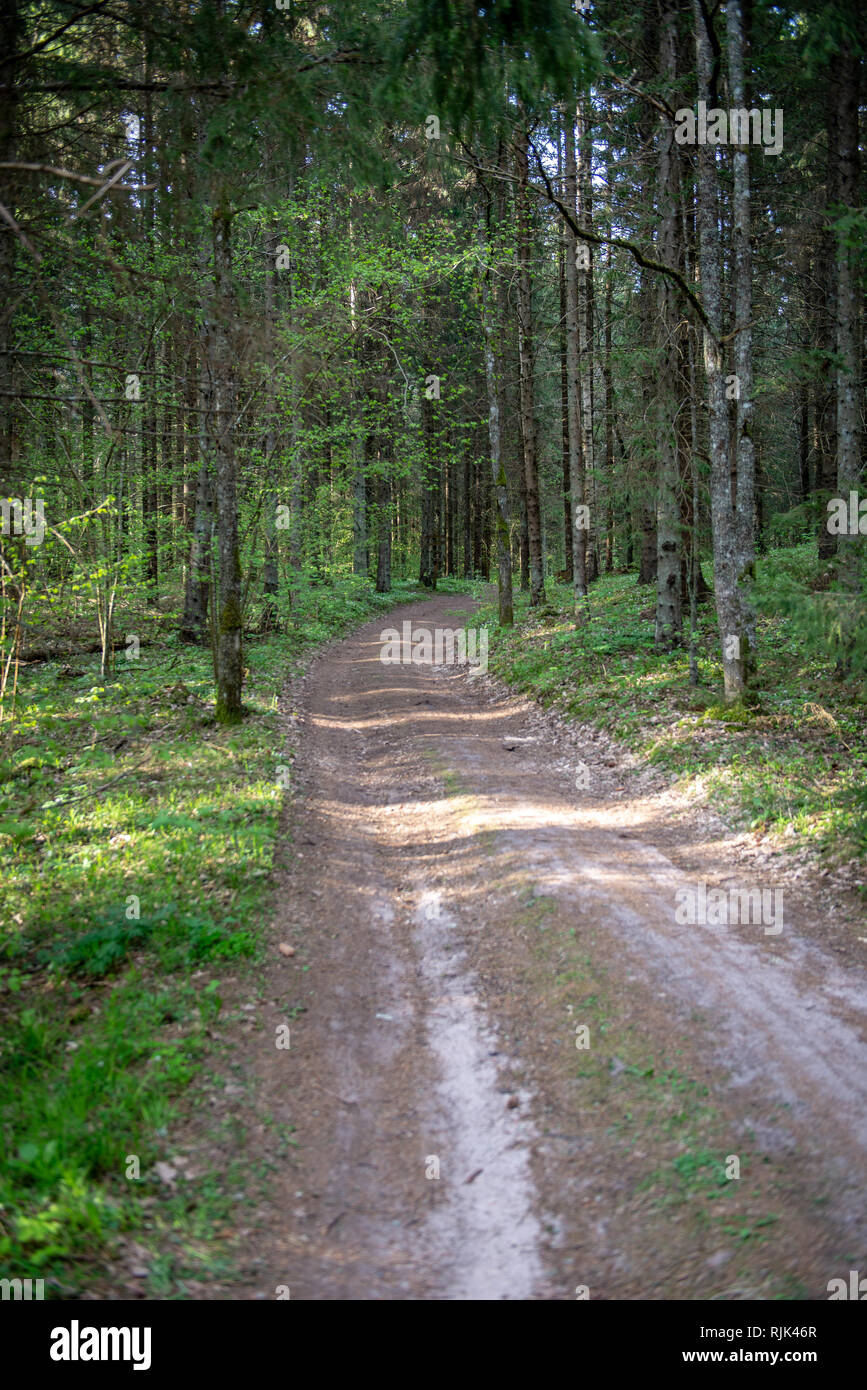 empty country gravel road with mud puddles and bumps. dirty road ...