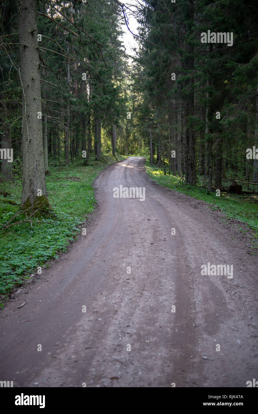 empty country gravel road with mud puddles and bumps. dirty road ...