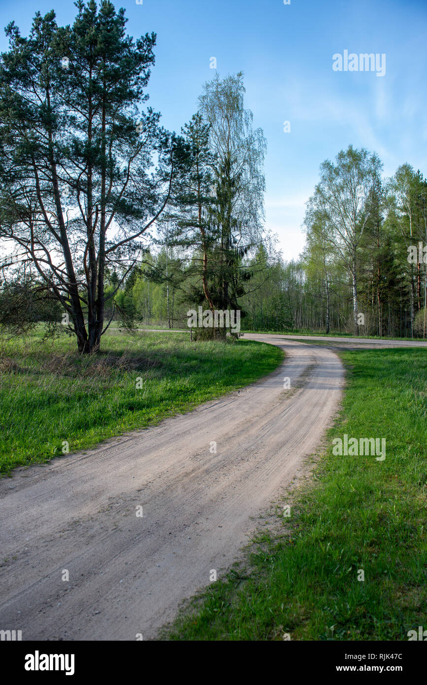 empty country gravel road with mud puddles and bumps. dirty road ...