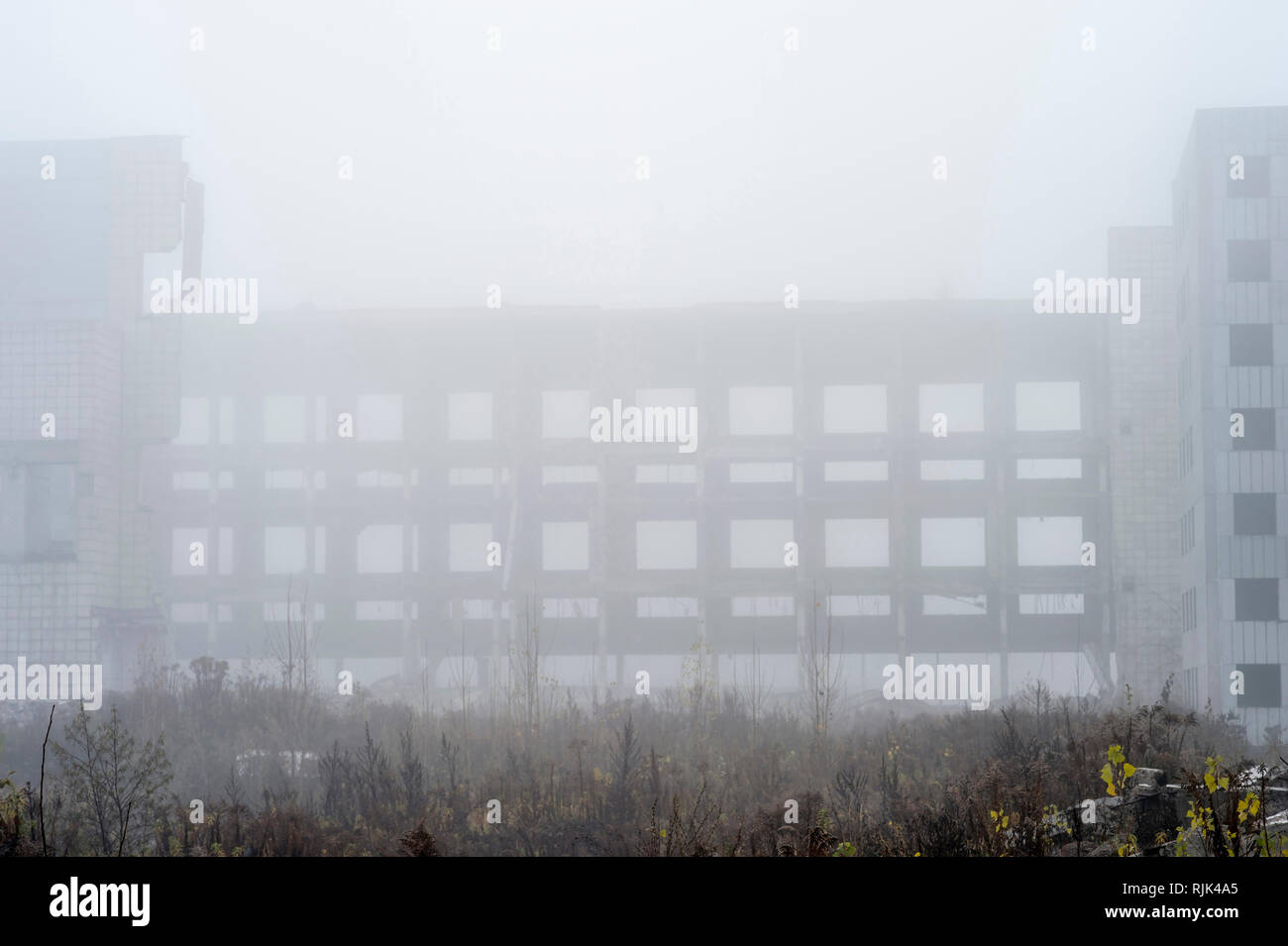 Frame of concrete piles of a large building in a thick foggy haze. The ...