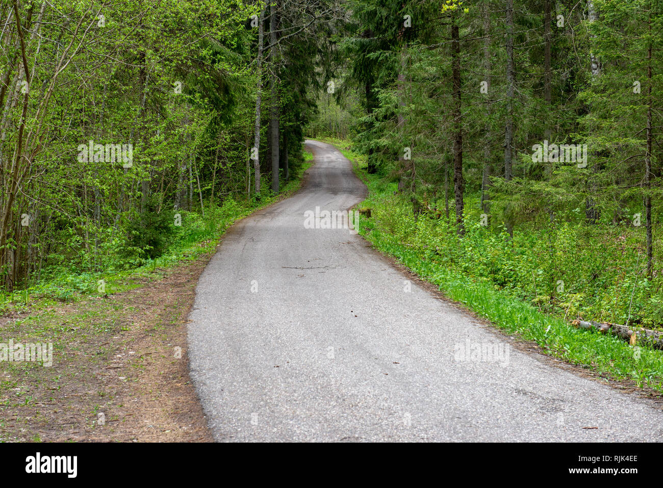 empty asphalt road outside city. countryside driveway with clean ...