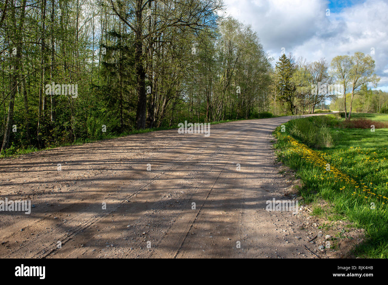 empty country gravel road with mud puddles and bumps. dirty road ...
