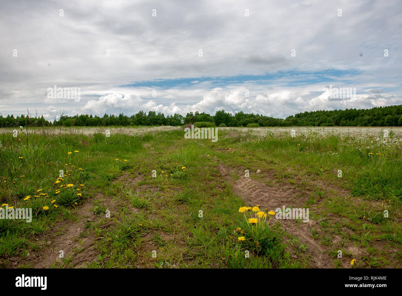 empty country gravel road with mud puddles and bumps. dirty road ...
