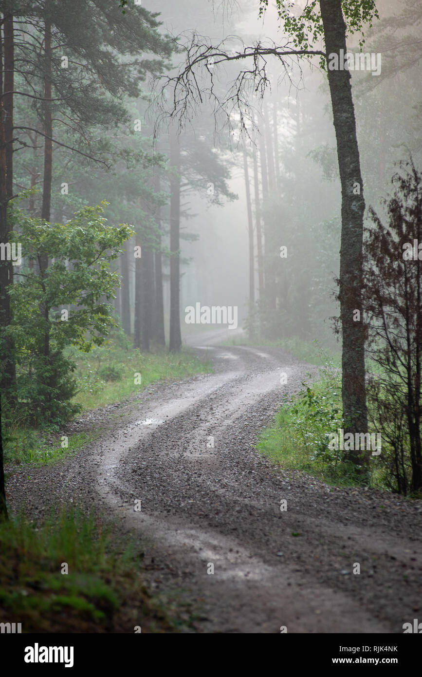 empty country gravel road with mud puddles and bumps. dirty road ...
