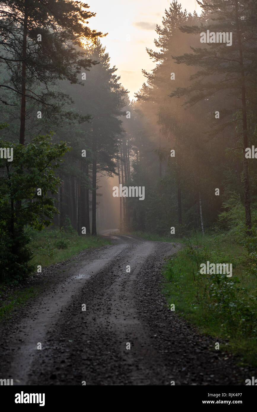 empty country gravel road with mud puddles and bumps. dirty road ...