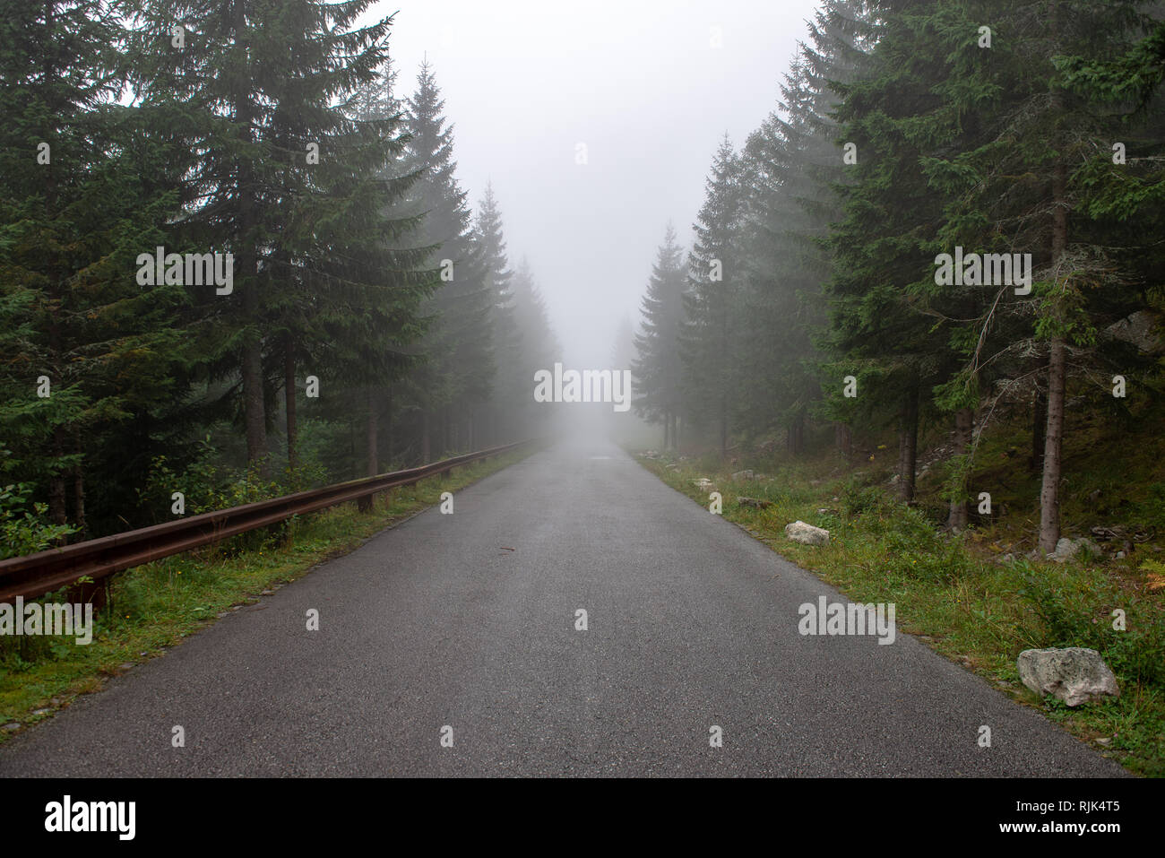 empty asphalt road outside city. countryside driveway with clean ...